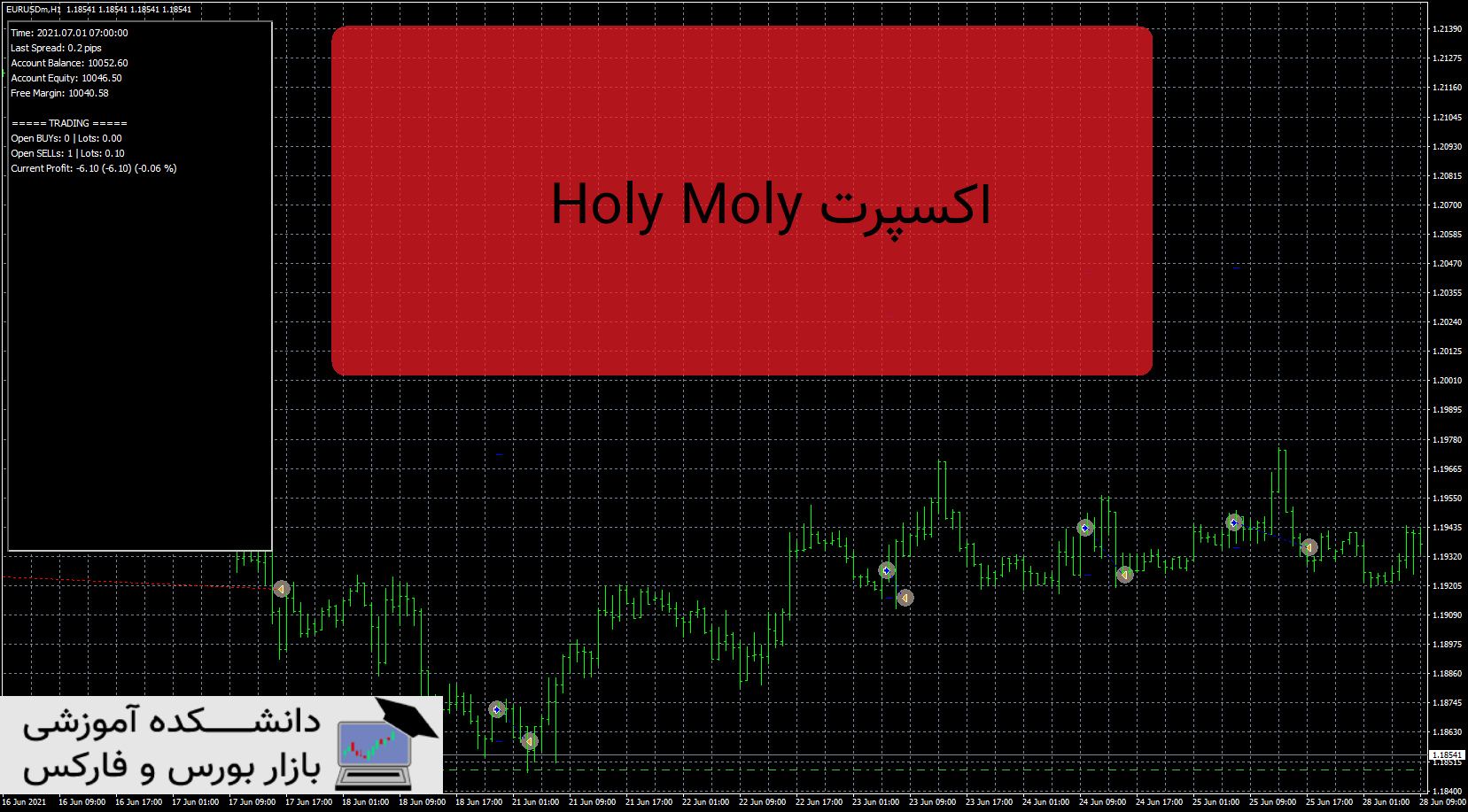 Holy Moly دانلود و معرفی اکسپرت - دانشکده آموزشی بازار بورس و فارکس